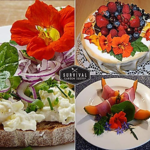 Survival Garden Seeds - Tip Top Mix Nasturtium Seed for Planting - Pack with Instructions to Plant and Grow Edible Flowers & Companion Plants in Your Home Vegetable Garden - Non-GMO Heirloom Variety