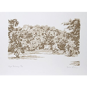 Sepia Landscape