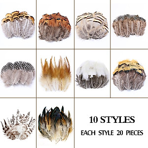 180pcs 6 Style Natural Feathers Assorted Mixed Feathers for Dream Catcher Crafts Decoration (6 Styles/180 Pcs)