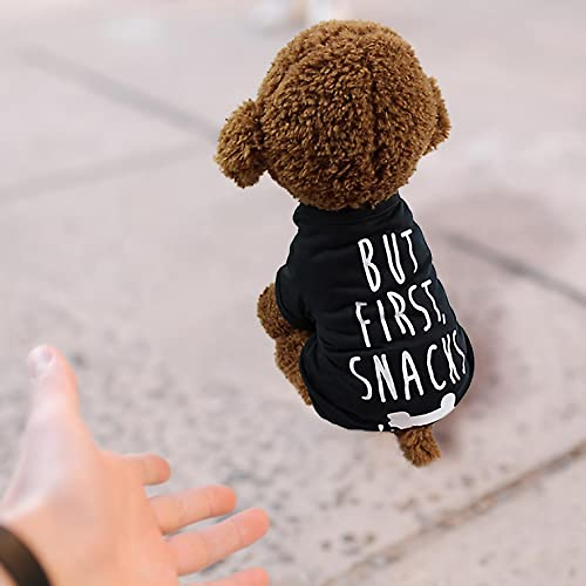 Letter Printing Dog Shirt for Puppy Pet Loose Fit Cat Dog Tee Tops Sleeveless Female Apparel for Puppy Dogs Cats