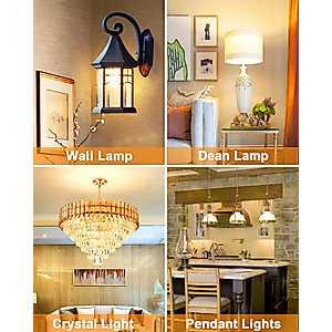 Flaspar G9 50W Halogen Light Bulbs, T4 580LM JCD Type 2800K Warm White, 120V G9 Bi-Pin Base for Reptile Heat Bulb, Under Cabinet Halogen Bulb for Range Hood Lights, Microwave Ovens, Dimmable, 4 Pack