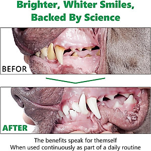 Teeth Cleaning Powder (10.58oz-300 Scoops), Pet Dental Powder for Dogs & Cats Breath Freshener Powder for Bad Breath, Plaque, Tartar Remover, Dental Care Supplies - No Brushing Needed