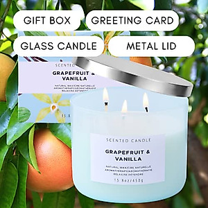 3 Wick Scented Candle | Grapefruit Vanilla Stress Relief Aromatherapy Candle with Berries, Bergamot, Rose & Lemon | 15.8 oz Highly Scented Candles for Men & Women | Large Natural Soy Candles for Home