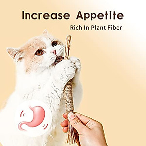 Luystoka 3PCS Silvervine Matatabi Catnip Sticks Natural Cat Chew Sticks, Cat Dental Toy, Catmint Blend Sticks, Teeth Cleaning, Interactive for Kitty, Kittens