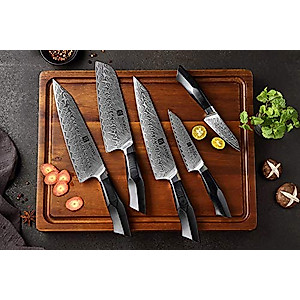 XINZUO 5-piece Damuscus Kitchen Knife Set,67 Layer Hand Forged Damascus Steel Professional Chef Knife Set with Gift Box, G10 Black Handle,Razor Sharp-Feng Series