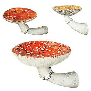 Mushroom Shelf, 3PCS Resin Mushroom Wall Shelf, Floating Mushroom Wall Decor, Hanging Fade-Resistant Cute Shelves for Bedroom, Living Room, Bathroom Mushroom Wall Decor Mushroom Hooks Mushroom