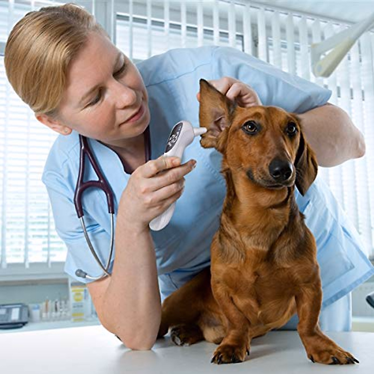 [No Beep Voice Version] Cat and Dog Ear Temperature Monitor, Pet Infrared Thermometer Only for Pets, Monitor Pet Fever in 1 Second