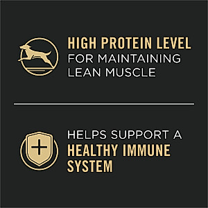 Purina Pro Plan Complete Essentials Lamb and Vegetables and Turkey and Vegetables Slices in Gravy 12ct High Protein Wet Dog Food Variety Pack - (Pack of 12) 13 oz. Cans