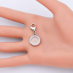 BEKECH Faith Mustard Seed Charm Zipper Pull Clip On Gift for Religious Men Women Faith Jewelry Gift Christian Gift for Faithful Men Women Graduates (silver stainless steel)