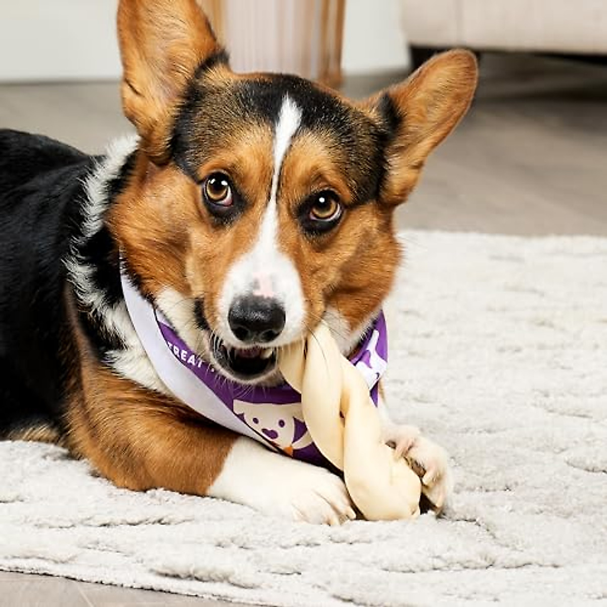 Treatly USA Collagen Twist 6-7" Dog Chew Treats - Natural Flavor, 6 Count/1 Pack