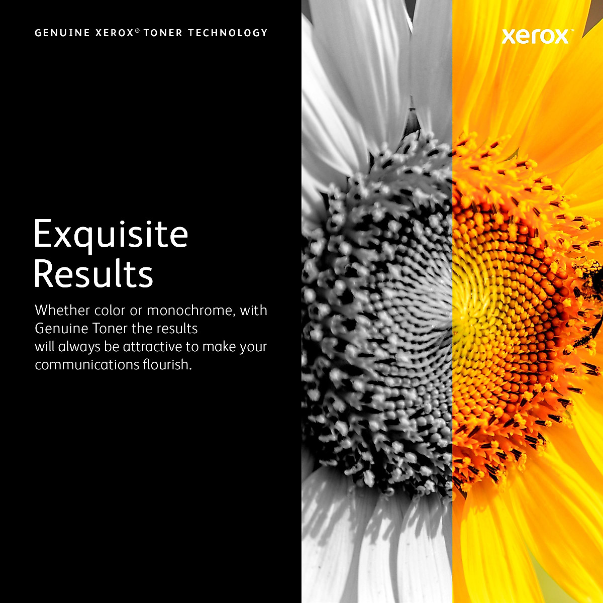 Xerox Phaser 3635 MFP Black Standard Capacity Toner-Cartridge (5,000 Pages) - 108R00793