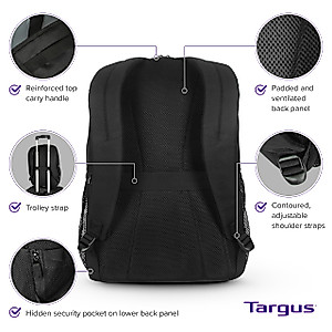 Targus Ascend Professional Business Laptop Backpack, Sleek and Durable Travel Commuter Bag, Improve Back Support with Padded Shoulder Straps and Back Panel, Fits up to 16-Inch Laptop, Black (TSB710US)