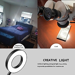Woputne Desk Lamp Clip on Lamp, Clamp Lamp for Video Conference Lighting, Desk Light for Home Office, USB Reading Lamp Flexible Ring Light for Headboard, Computer Webcam, Zoom Meeting