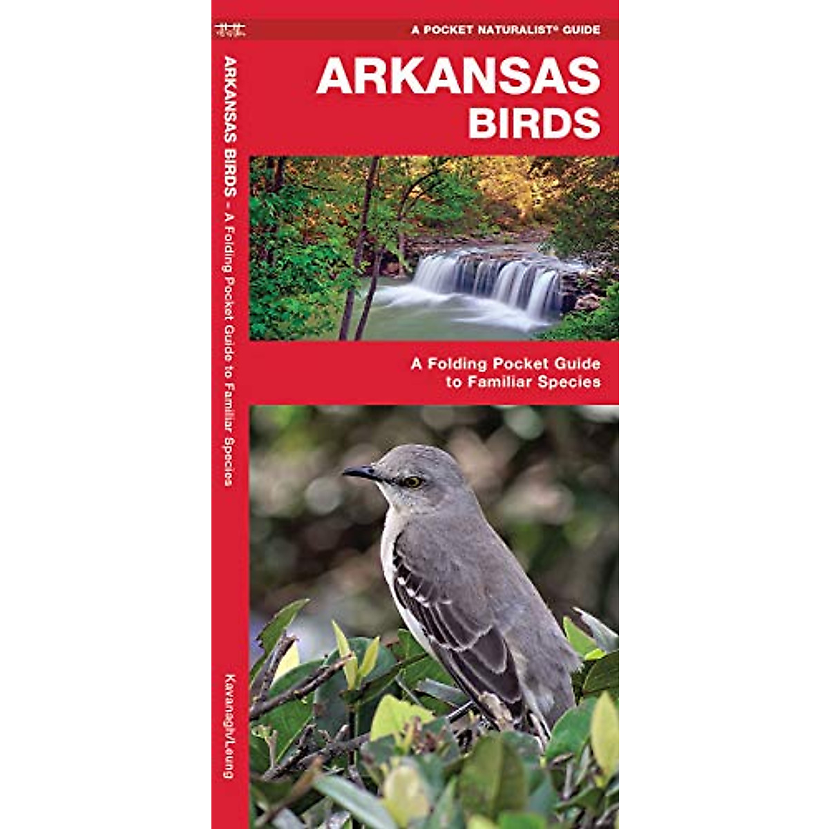 Arkansas Birds: A Folding Pocket Guide to Familiar Species (Nature Observation North America)