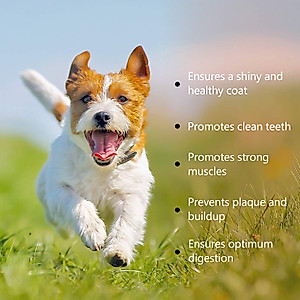 6-Inch Natural Bully Sticks for Dog & Puppies | 45 Pack | Low Odor Dog Chew Treats | Grass Fed Beef | Long Lasting Dog Chewing Bully Sticks for Dental Health