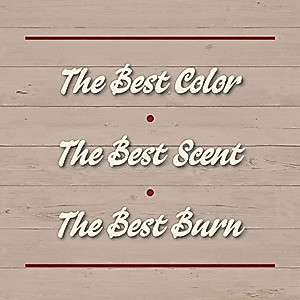 Blueberry Pie Scented Tin Candle, Up to 100 Hours of Burn Time with Specialty Blended Soy & Paraffin Wax | Our Own Candle Company, 13 Ounce