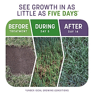 Pennington Smart Patch Dense Shade Mix 10 lb