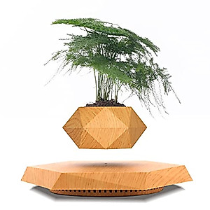 HCNT Levitating Plant Pot, Magnetic Levitation Flower Pot Rotating Planters Suspension Floating Plant Succulents Potted for Home Living Room Office Desk Decoration (Wood)
