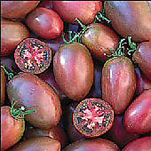 Purple Russian Tomato Seeds (20+ Seeds) | Non GMO | Vegetable Fruit Herb Flower Seeds for Planting | Home Garden Greenhouse Pack