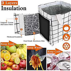 Daixers Lunch Bag Insulated Lunch Box for Women Men,Reusable Adult Lunch Tote Bags for Work or Travel (White Plaid)