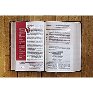 NIV, Life Application Study Bible, Third Edition, Personal Size, Leathersoft, Brown, Red Letter