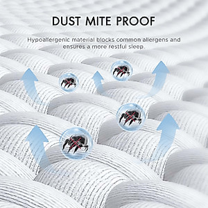 Degrees of Comfort Mattress Encasement Full Size | Waterproof Bed Bug Proof Cover Premium Zippered Six-Sided Protector 9-12 Inch Deep 3M Scotchgard