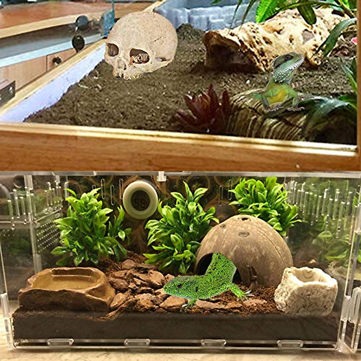 PINVNBY Bearded Dragon Tank Accessories,Reptiles Resin Human Skull Habitat Decor,Lizard Hammock Coconut Shell Hut Hideouts Cave Jungle Climber Vines Leaves Decorations for Chameleon Snake Spider Gecko