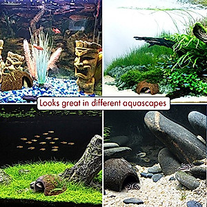 SunGrow Coconut Hut for Crested Gecko, 5x3 Inches Reptile Climbing Hide, Leopard Gecko Tank Cage Habitat Accessories, Smooth-Edged Coconut Shell, for Exercise, Crawling, Perching and Basking Spot