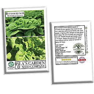 Buttercrunch Butterhead Lettuce Seeds for Planting, 1000 Heirloom Seeds Per Packet, (Isla's Garden Seeds), Non GMO Seeds, Botanical Name: Lactuca Sativa, Great Home Garden Gift
