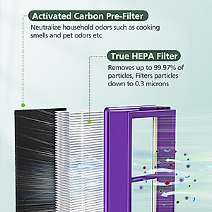 isinlive HAPF300AP Performance Plus Replacement Filter for Holmes AER1 HAPF300AP-U4 air Cleaner, 2 True HEPA+ 4 Carbon Pre Filters
