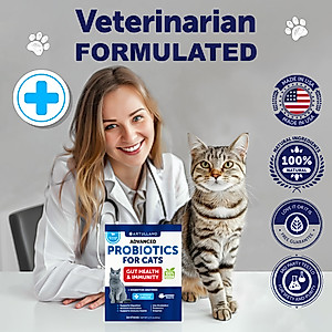 Probiotics for Cats - Cat Probiotic Support Gut Health, Itchy Skin, Allergies, Immunity, Yeast Balance - Cat Probiotics for Indoor Cats Digestive Enzymes with Prebiotics - Cat Diarrhea Relief