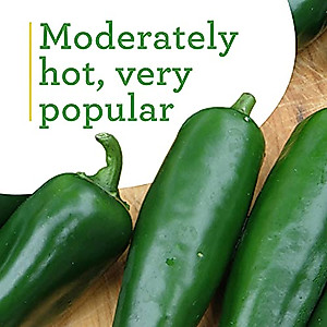 Bonnie Plants Jalapeno Hot Pepper Live Vegetable Plants - 4 Pack, Most Popular Chile Pepper, Non-GMO, 24 - 48 Inch Plants, 3 Inch Pepper Size