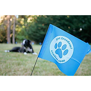 Educator FLAGS-50 Boundary Flags for E-Fence Underground Fence Containment System for Dogs, (Set of 50)