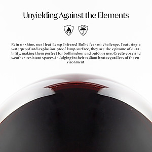 TOPHORT 2 Pack Heat Lamp Bulb R40/250 Watts, Red Heat Lamps Outdoor Bulbs for Pets Flood Light Bulb for Chickens Infrared Reflector,E26 Base(250W, Red)