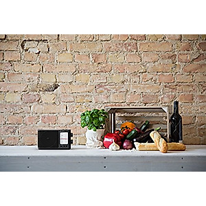 Sony ICF-506 Analog Tuning Portable FM/AM Radio, Black, 2.14 lb