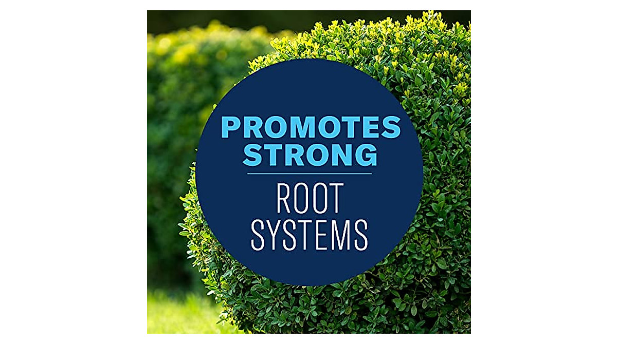 BioAdvanced Shrub Care Protect & Feed Granules - 6 Weeks of Protection ...
