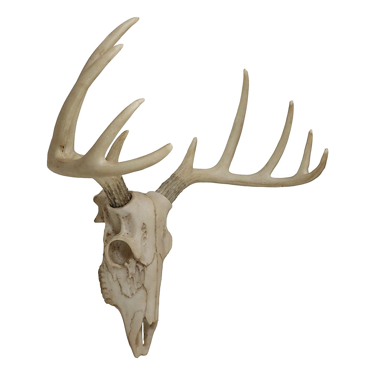 Ebros Gift Rustic Hunter Deer 10 Point Buck Skull Trophy Antlers Wall Mounted Plaque Trophy Decor Figurine 14.25" Long Hunter's Antler Rack Theme Deers Bucks Hunting Skulls Trophies Hanging Sculptures