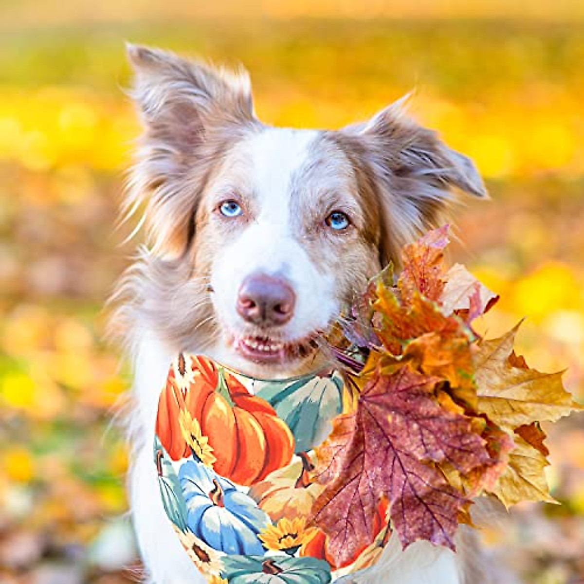 Fall Dog Cat Bandana, Thanksgiving Harvest Pumpkin and Maple Pattern for Large Medium Small Puppies Pets