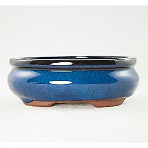 Oval Mame Shohin Bonsai / Cactus & Succulent Pot + Mesh 6"x 5"x 2" - Dark Blue Stain