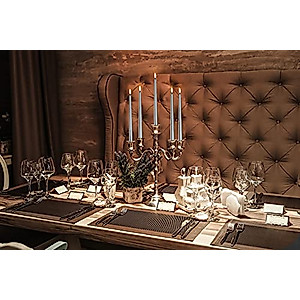 Hyoola 12 Pack Tall Metallic Taper Candles - 10 Inch Silver Metallic, Dripless, Unscented Dinner Candle - Paraffin Wax with Cotton Wicks