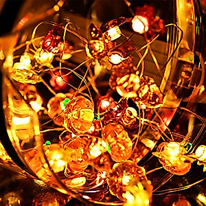 TWONGIFT Autumn LED Solar String Lights Outdoor,40LED Maple Pumpkin Acorn Thanksgiving Decorative Lights Indoor,18ft Fall Garland Solar Turkey Lights for Halloween,Garden,Mantel,Kitchen(8 Modes)