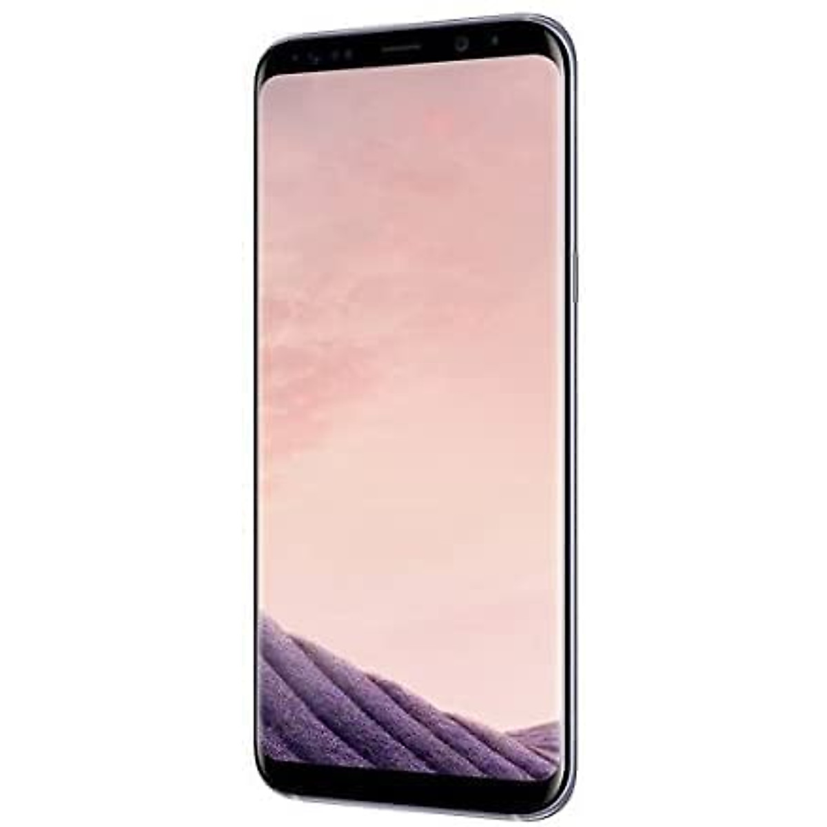 Samsung Galaxy S8 Plus 64GB Orchid Gray AT&T