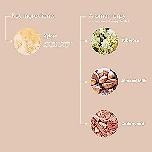 Pureology Style + Protect Weightless Volume Mousse | For Fine, Color-Treated Hair | Lightweight, Volumizing Mousse | Sulfate-Free | Vegan | Updated Packaging | 8.4 Oz. |