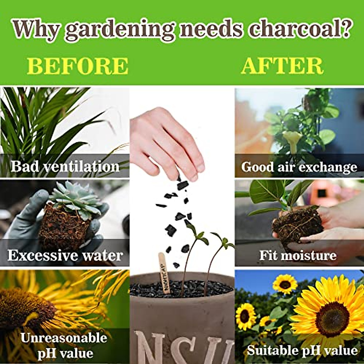 Sukh Horticultural Charcoal for Plants - 1Qt. Natural Earth Regulated Supplement for Potting Soil Indoor Plants, Succulent Soil, Orchid Potting Soil, Paphiopedilum, Bonsai, Terrarium.