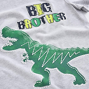 Dinosaur Big Brother Announcement T Shirt Sibling Outfits for Toddler Boys Cotton Promoted to Big Brother Shirt Print Colorful Dino Short Sleeve Top Tee Gift(Gray, 18-24 Months)