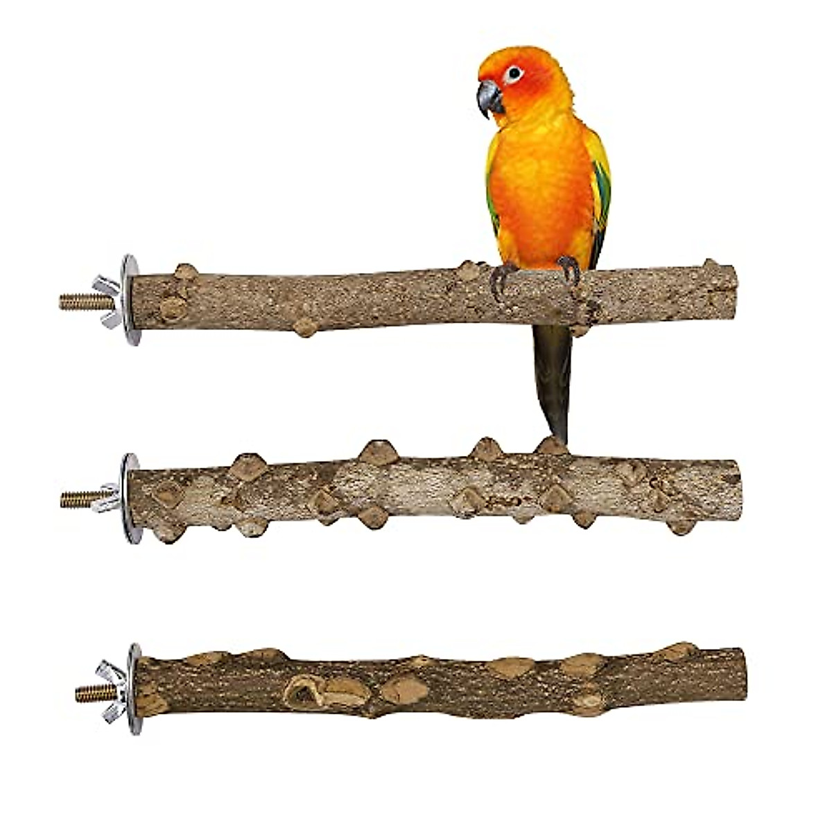 Mogoko Natural Wood Bird Perch Stand, Hanging Multi Branch Perch for Parrots, Parakeets Cockatiels, Conures, Macaws, Love Birds, Finches (Style 4)
