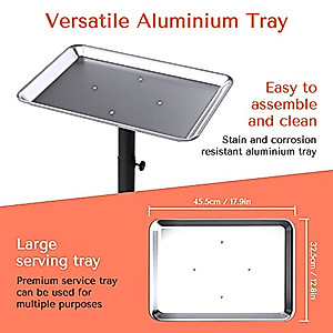 TASALON Salon Tray On Wheel (Silver Tray (Upgrade))