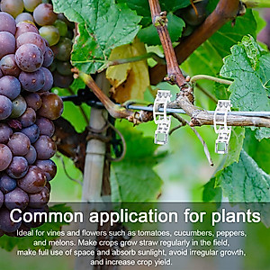 200PCS Plant Support Garden Clips, Vegetable Tomato Supports Trellis Clip Tape for Climbing Crop Vine Twine String Cage Ties Stakes, Grow Strawberry Rose Grape Cucumber Orchid Pea Pothos Melon Tree