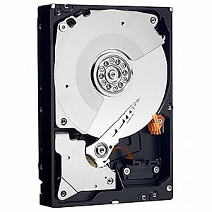 Western Digital 750 GB RE3 SATA 7200 RPM 32 MB Cache Bulk/OEM Enterprise Hard Drive WD7502ABYS (Renewed)