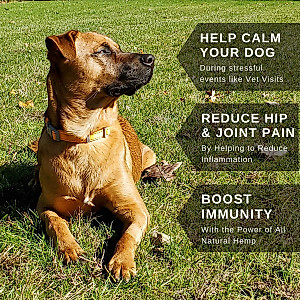 CoreBionics Premium Hemp Dog Treats - 600mg (30ct) - Support for Joint Flexibility and Mobility, Nervousness, Hyperactivity and Environmentally-Induced Stress